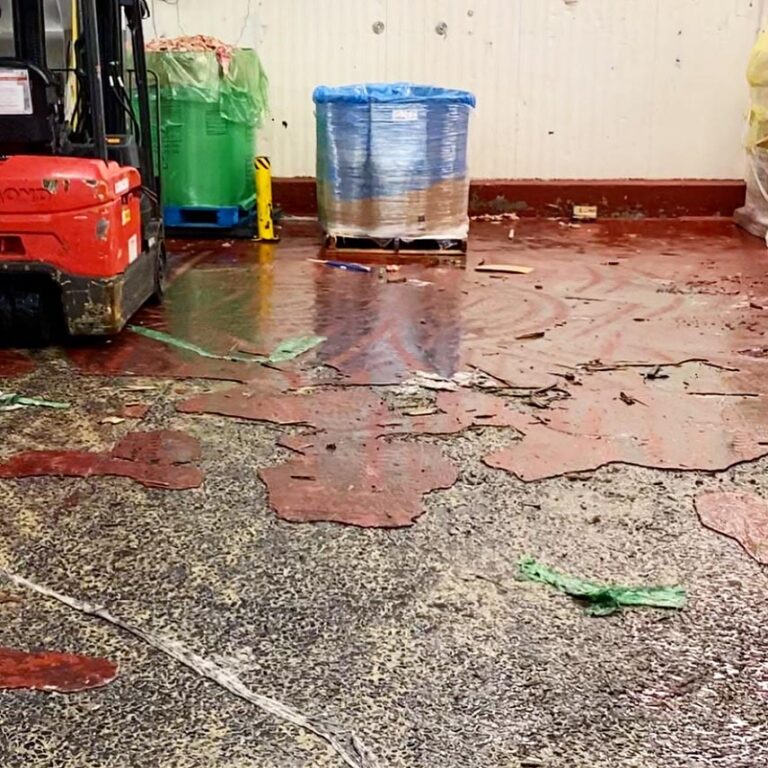 Ensuring a Clean Food & Beverage Processing Facility | Surface Technology