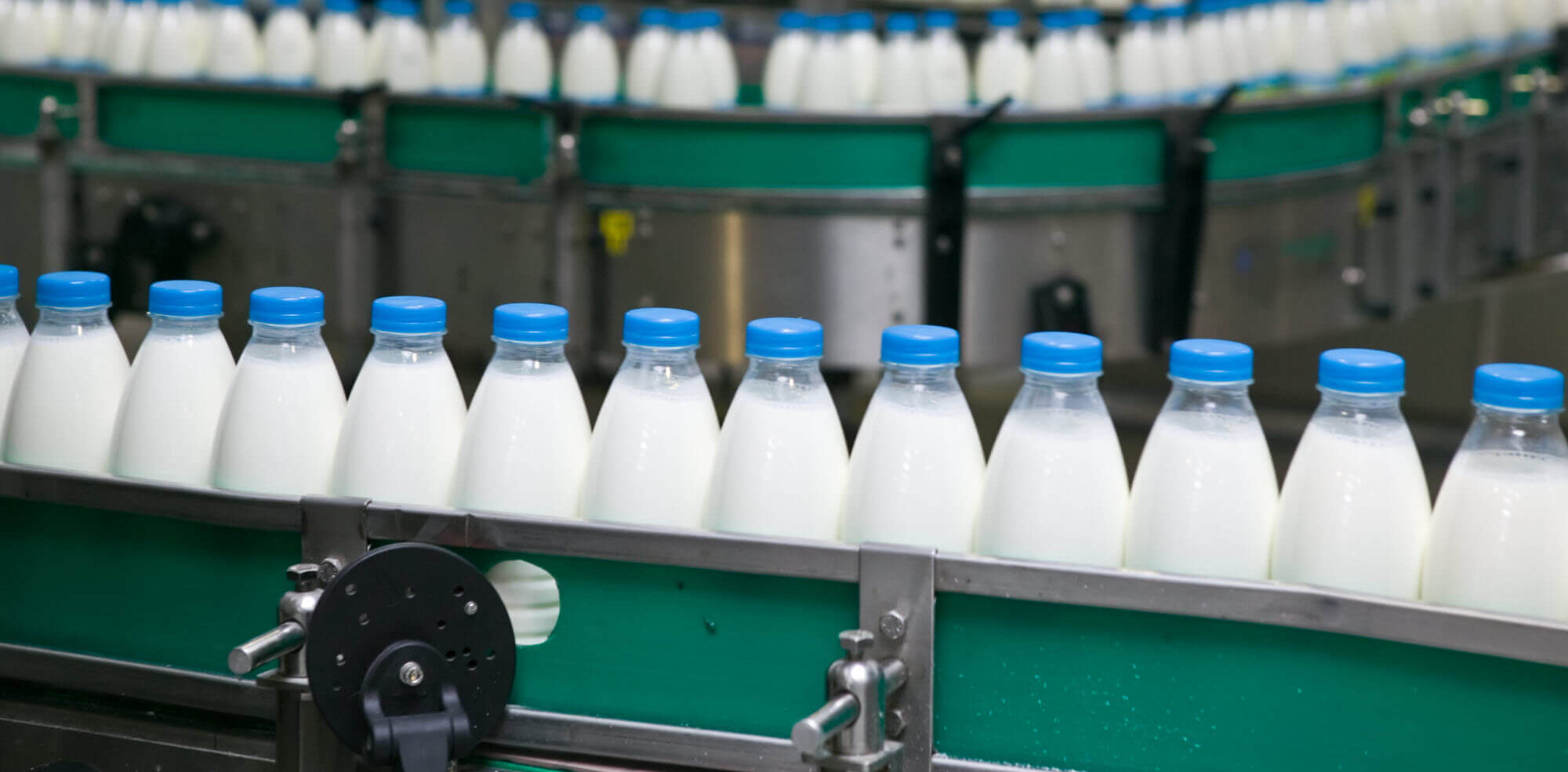 Dairy Processing Industrial Resin Flooring | Surface Technology